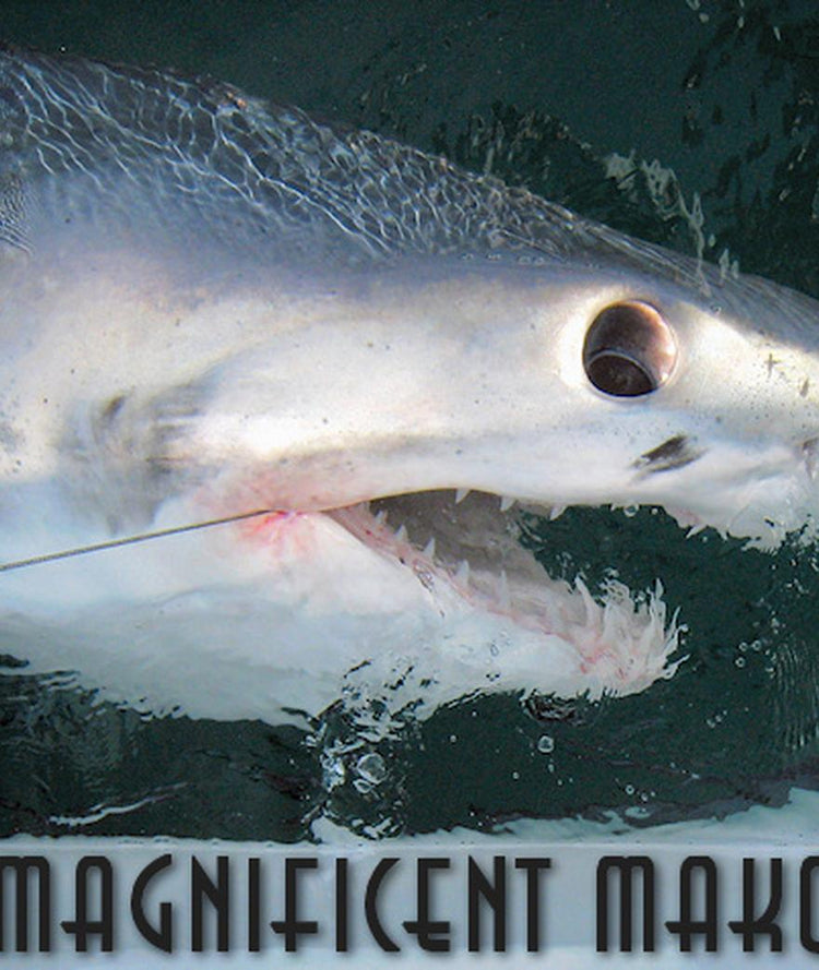 Mako Sharks - Apex Predators of the Deep | PELAGIC Fishing Gear